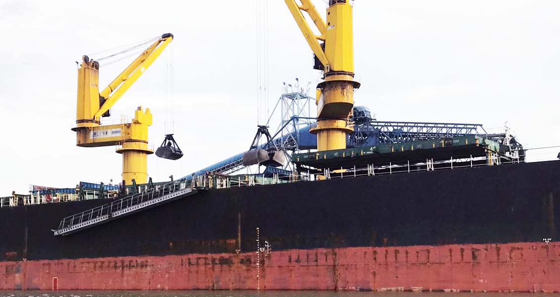Dry bulk handling and transhipments – SAI GON CUU LONG LOGISTICS AND ...